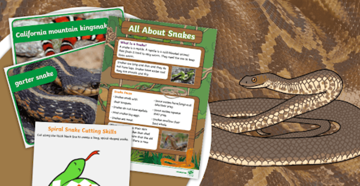 World Snake Day | Twinkl Teaching Calendar - Twinkl