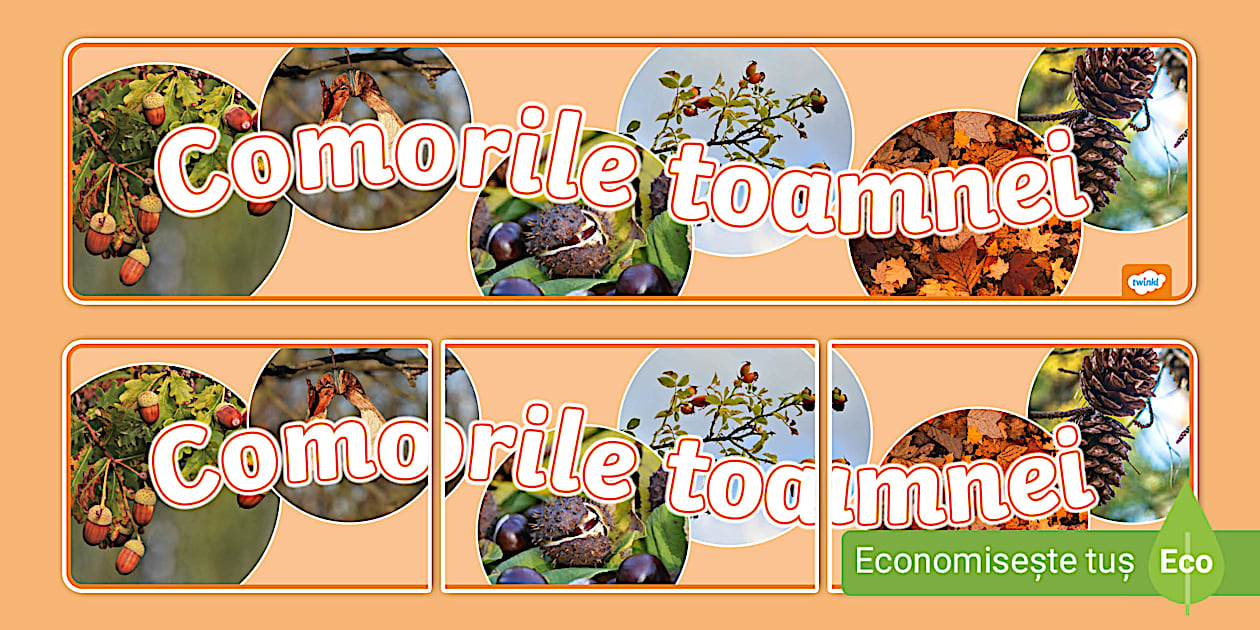 Comorile toamnei – Banner (teacher made) - Twinkl