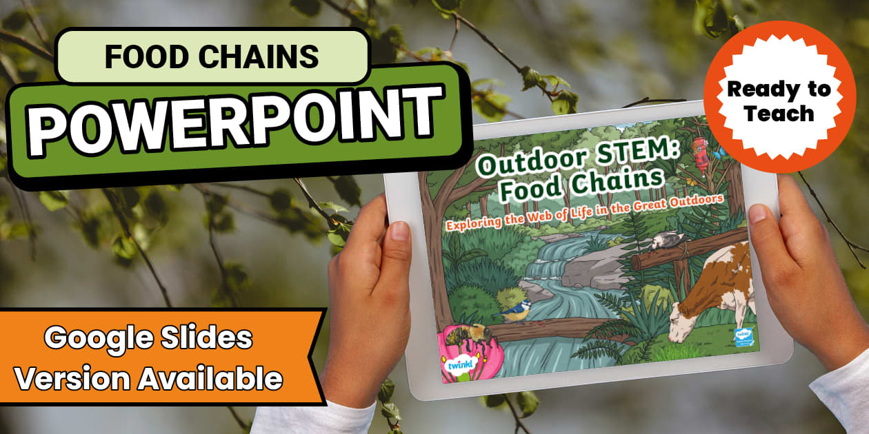Outdoor STEM: Food Chains PowerPoint (teacher made) - Twinkl