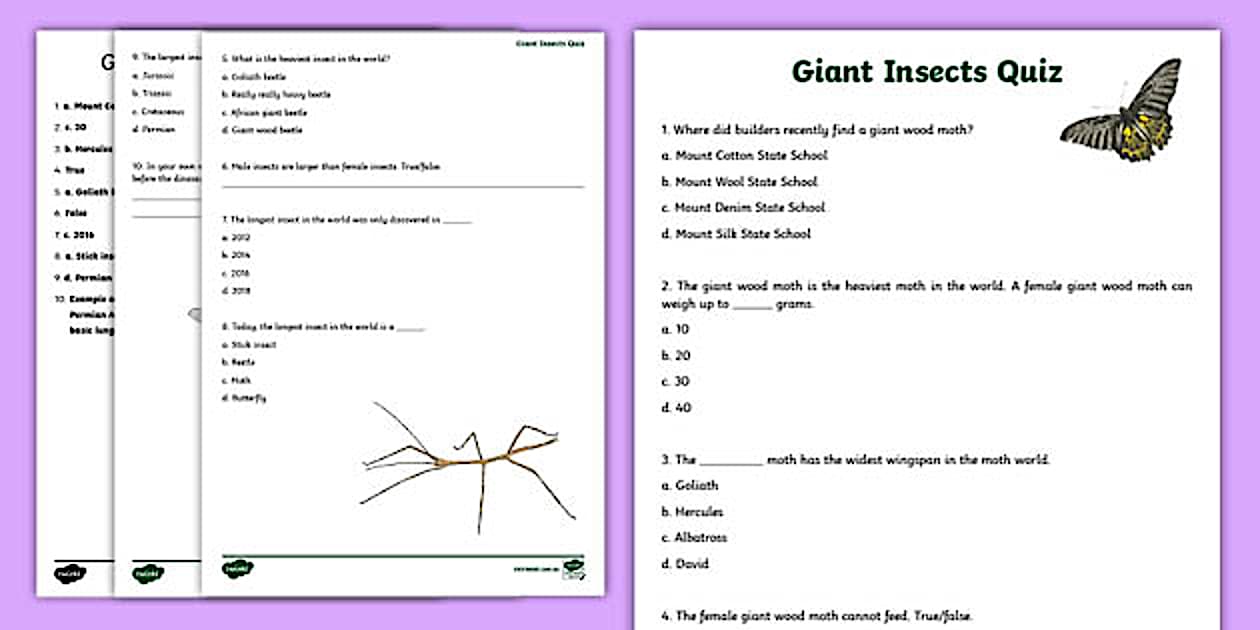 Crash Course Podcast Giant Insects Quiz (Teacher-Made)