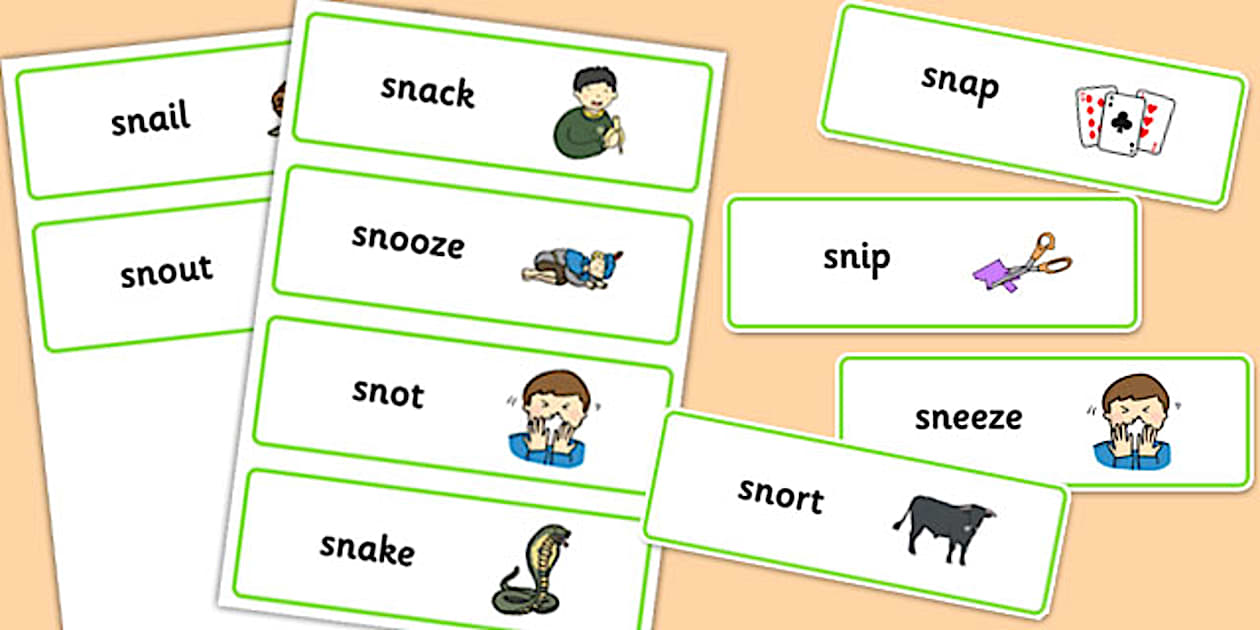 Dyslexic SN Word Cards (teacher made) - Twinkl