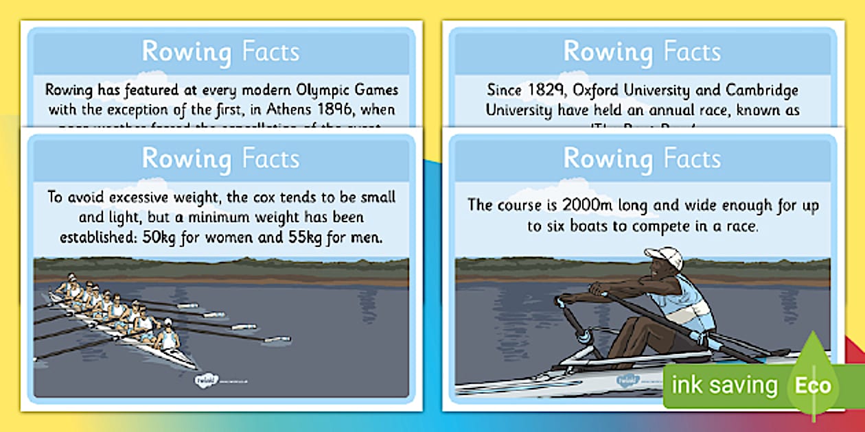 Rowing Display Facts (teacher made) - Twinkl