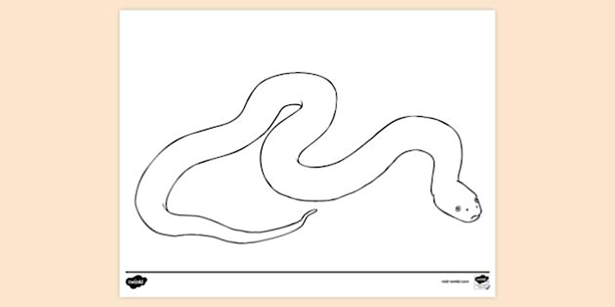 Snake Colouring | Colouring Sheets (teacher made) - Twinkl