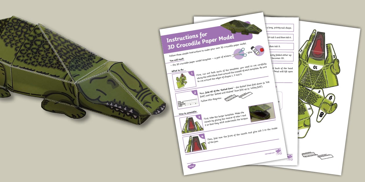 3D Crocodile Paper Model Activity (teacher made) - Twinkl