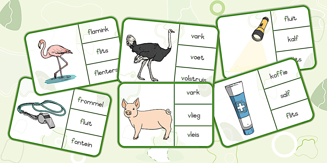 Graad 3 Klanke Wasgoedpennetjie Kaartjies Woorde met v/f