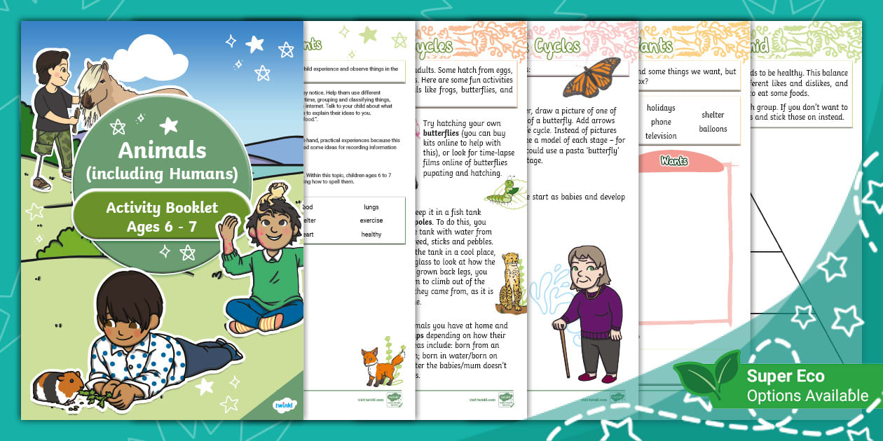 Year 2 Science: Animals Including Humans Activity Booklet