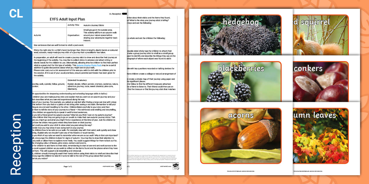 EYFS Autumn Journey Sticks Adult Input Plan and Resource Pack