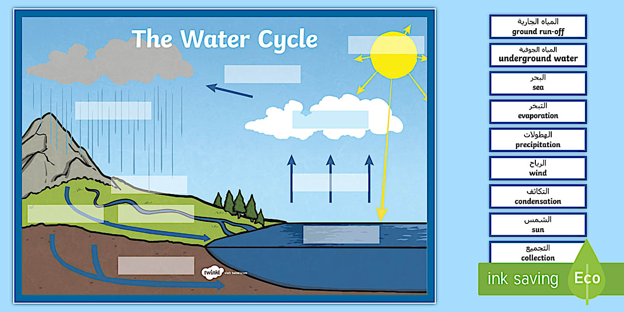 The Water Cycle Large Display Labeling Activity Arabic/English