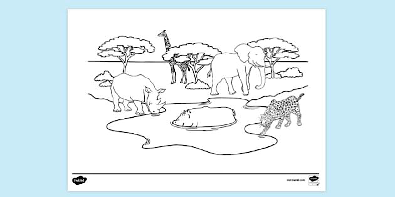 Animal Colouring Page to Print (teacher made) - Twinkl