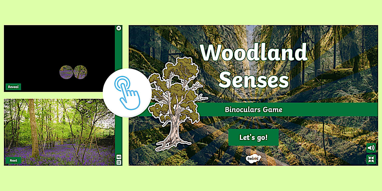 Woodland Senses Interactive Binoculars Game (teacher made)