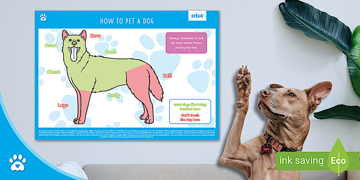 How To Pet a Dog - Display Poster (teacher made) - Twinkl