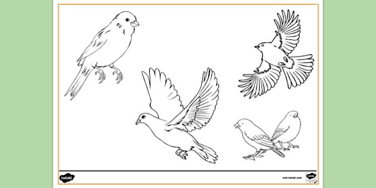 Free Printable Bird Colouring Page | Colouring Sheets