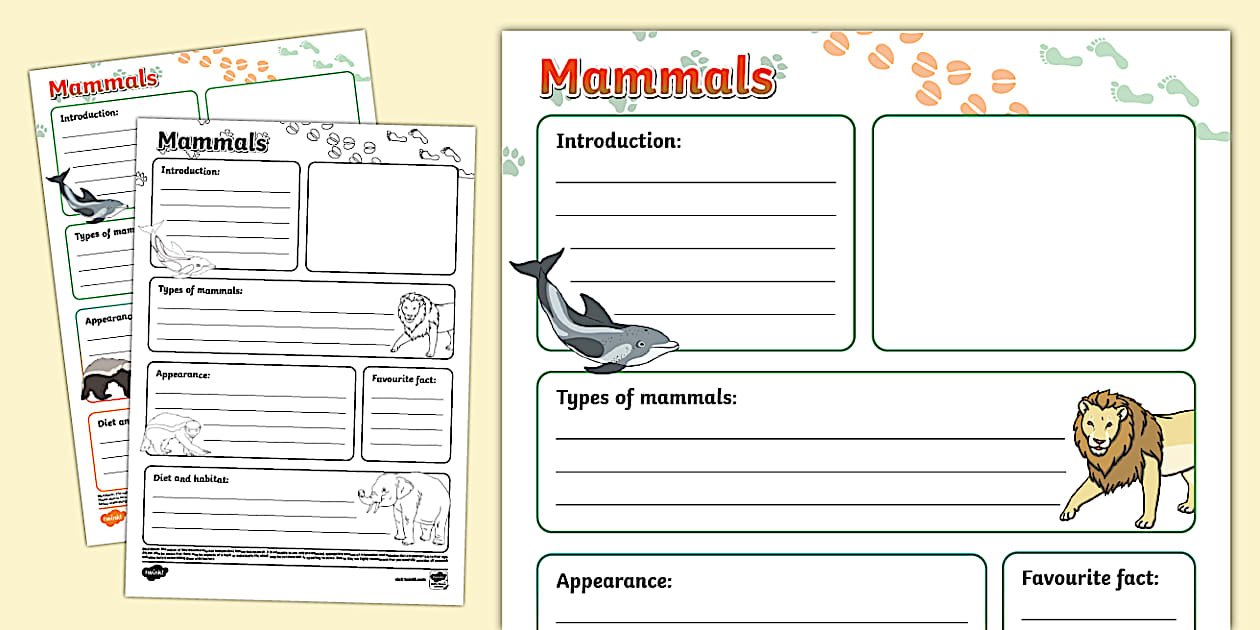Mammals Non-Chronological Report Template - Twinkl