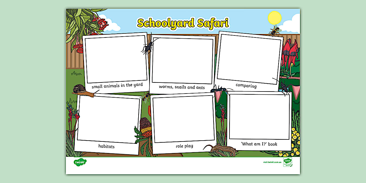 Schoolyard Safari Snapshots (teacher made) - Twinkl