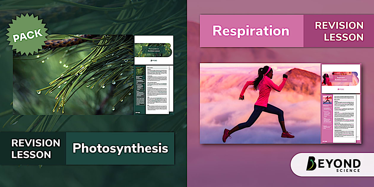 KS3 Photosynthesis and Respiration Revision Lesson Pack