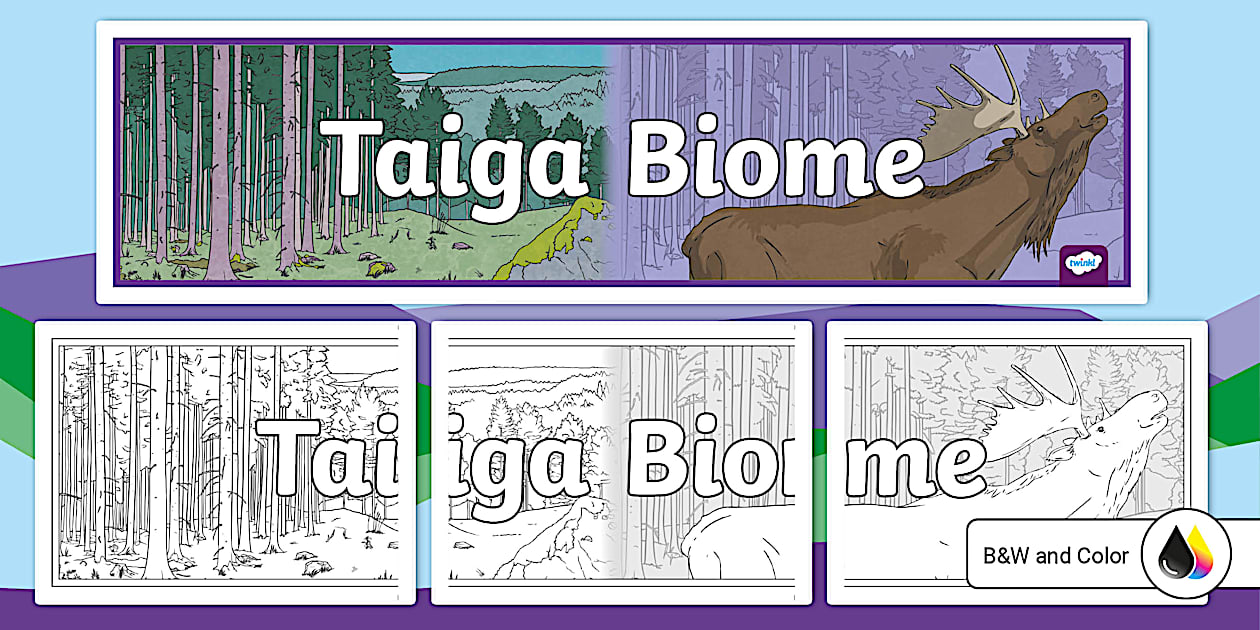 Taiga Biome Banner (Teacher-Made) - Twinkl