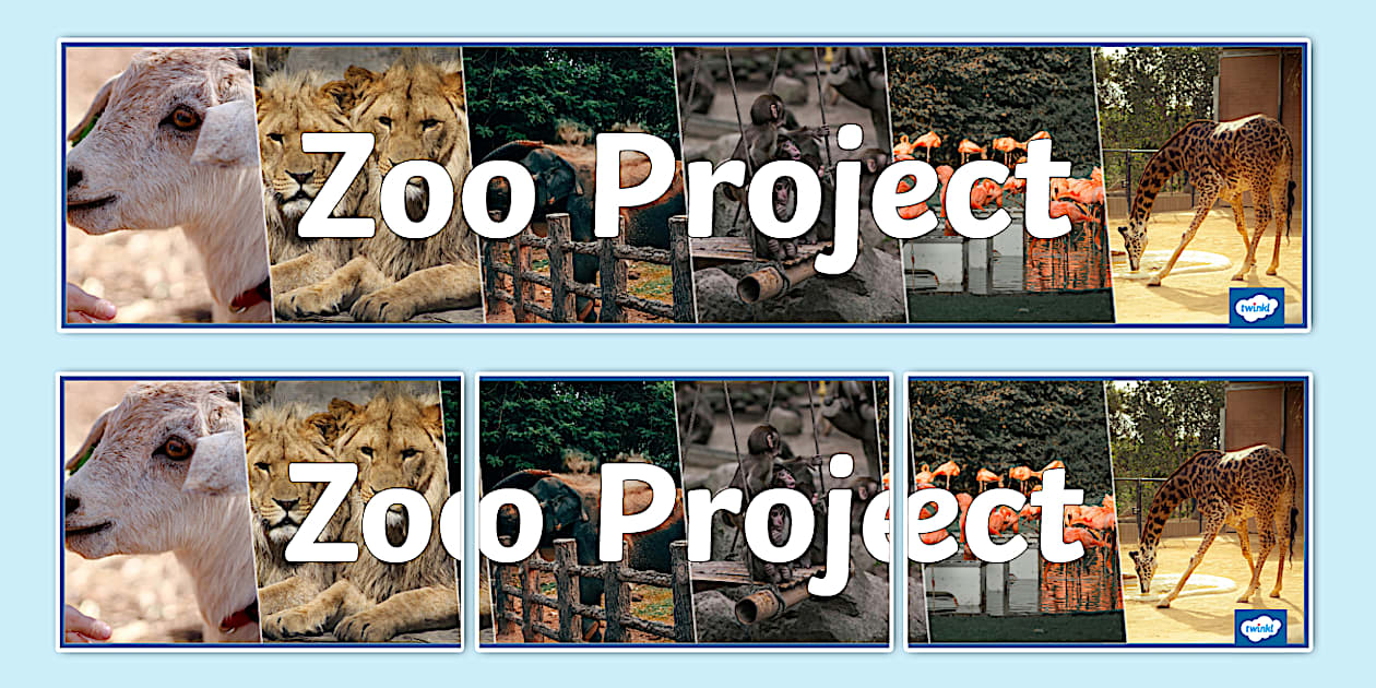 Zoo Project Display Banner (teacher made) - Twinkl