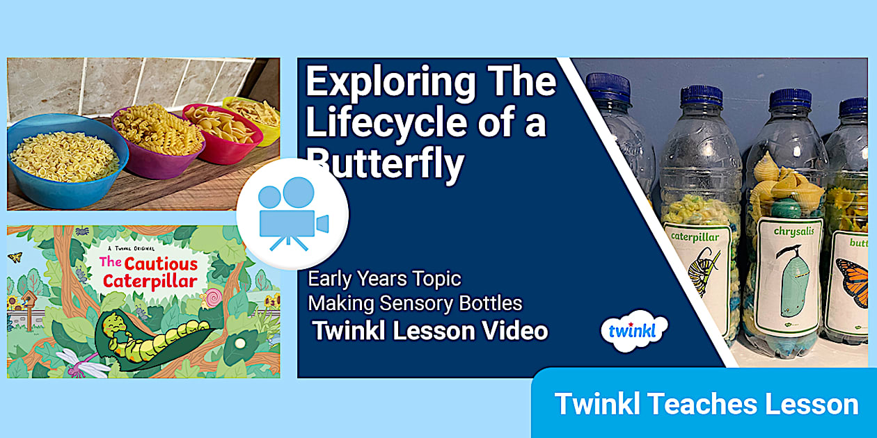 Lifecycle of a Butterfly Video Lesson | EYFS Spring Activity
