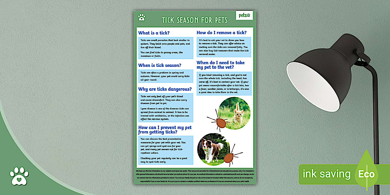 Tick Season for Pets - Tick Removal - Information Sheet