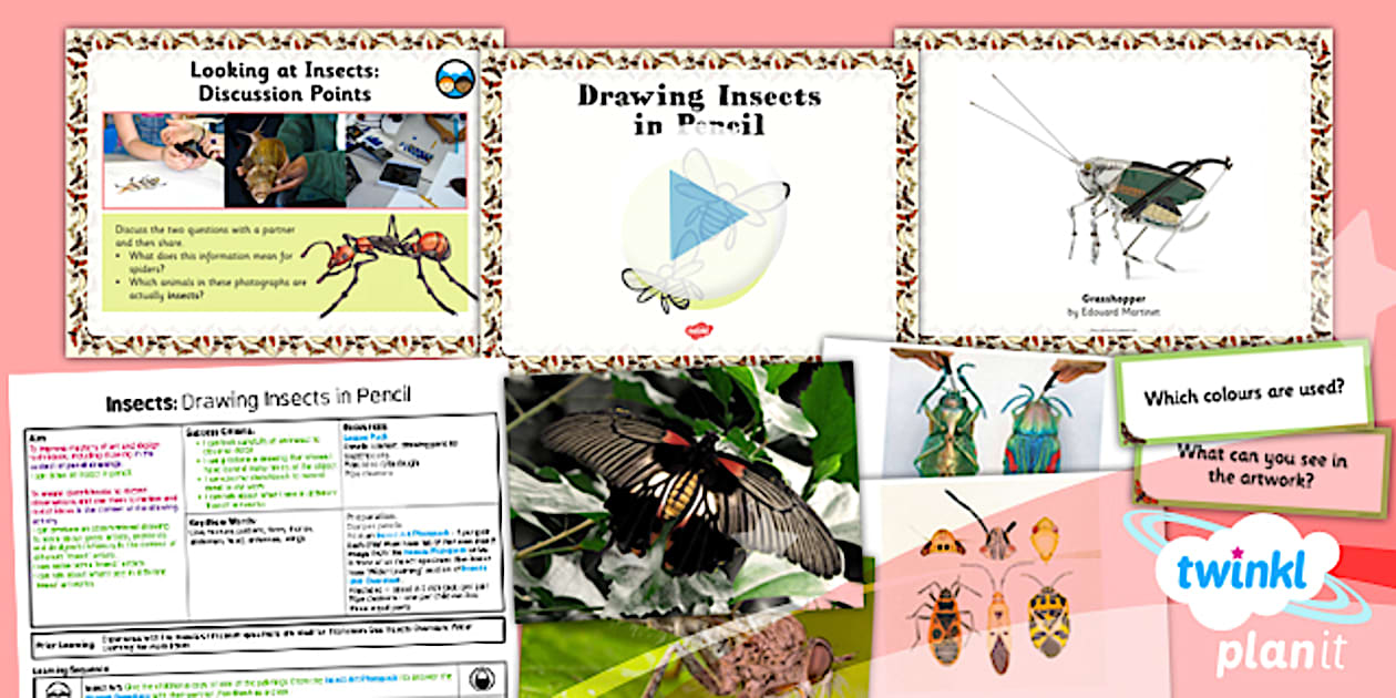 Insects Unit | Drawing Insect Drawing Lesson Pack 1 - Twinkl
