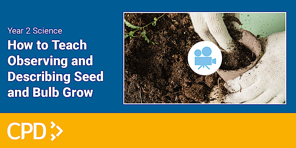 How to Teach Observing and Describing Seed and Bulb Growth in Year 2 ...
