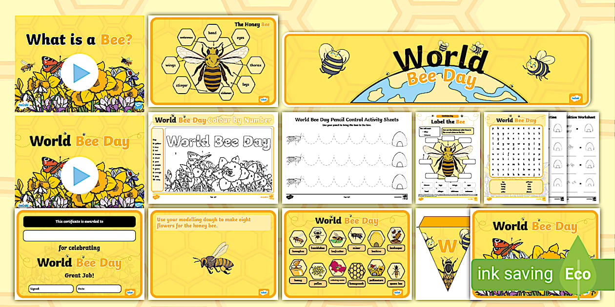 World Bee Day Infants Resource Pack (teacher made) - Twinkl