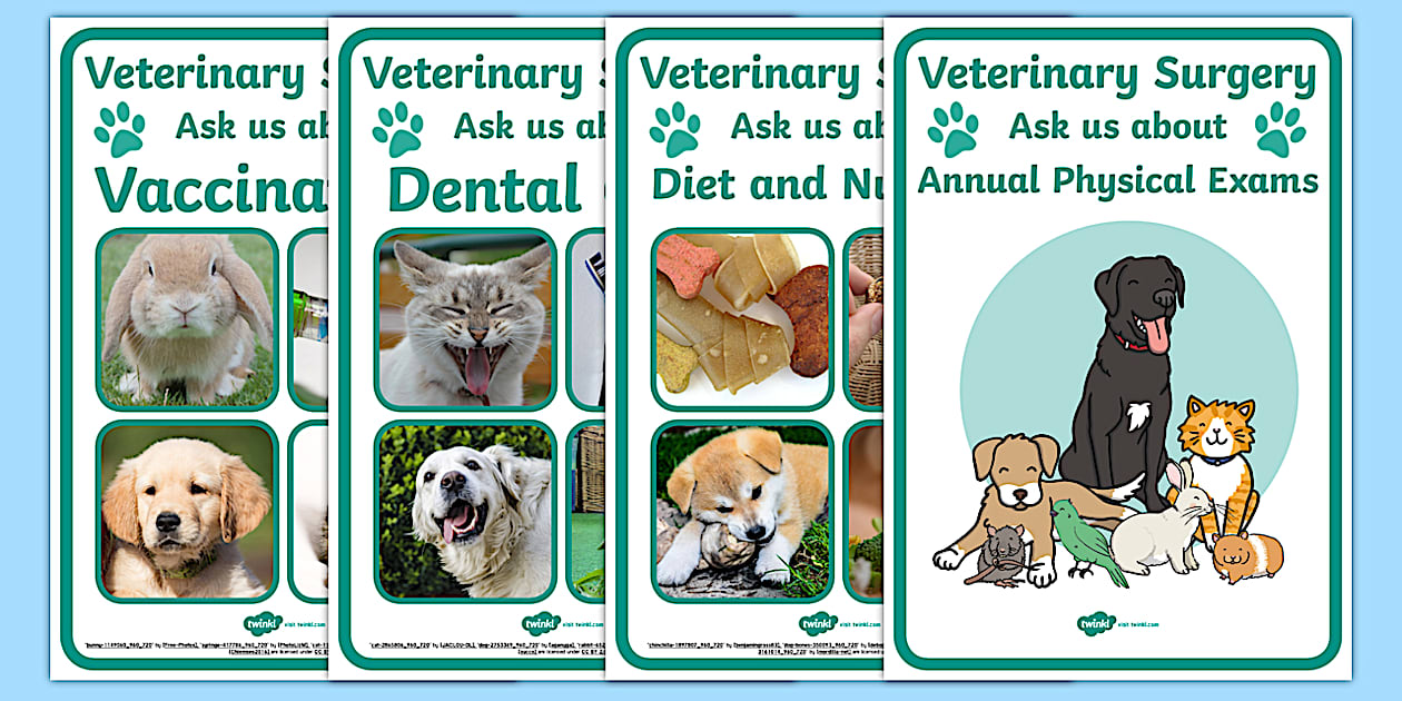 Vet's Surgery Advice Display Posters