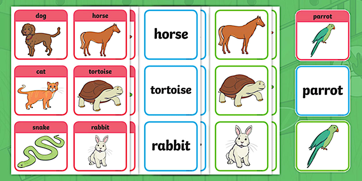 Pets Matching Cards (teacher made) - Twinkl