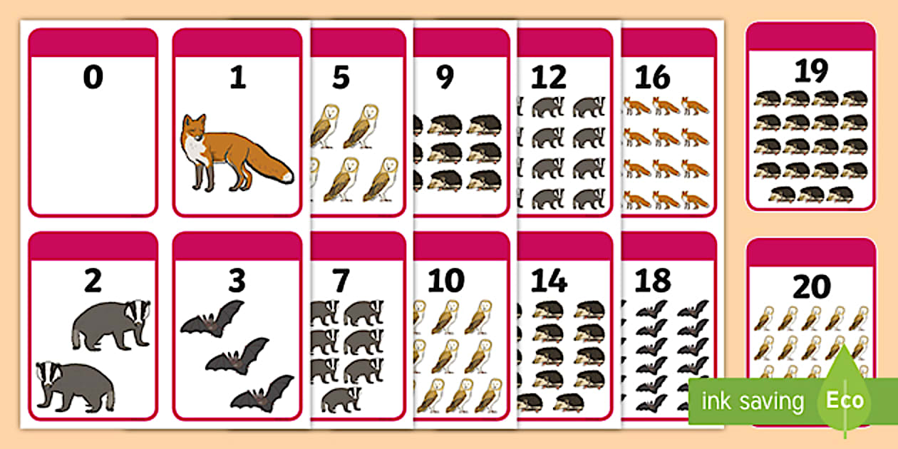 Nocturnal Animals Matching Activity Number Bonds to 20