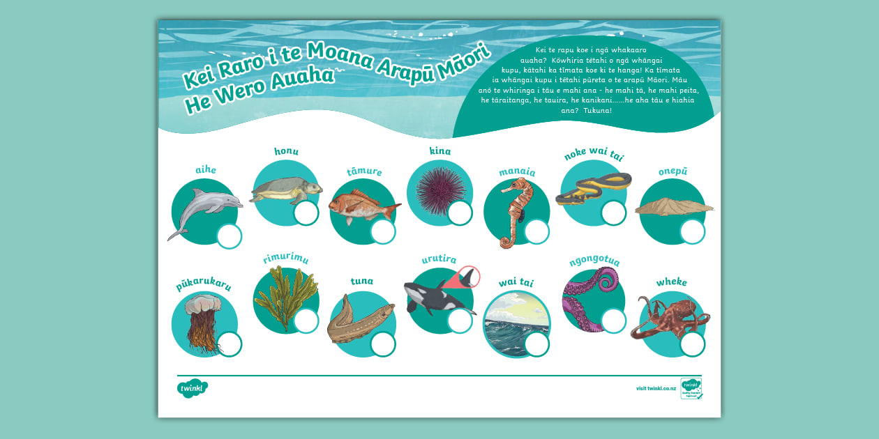 Kei Raro i te Moana - Te Arapū Māori (teacher made)
