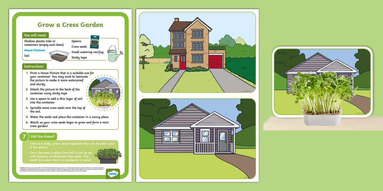 Grow a Cress Garden Activity | Growing Cress | Twinkl