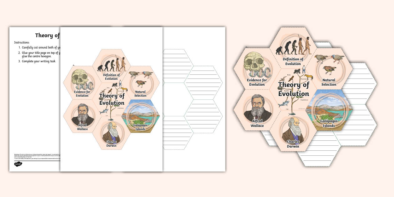 Theory of Evolution Hexagon Writing Template (teacher made)