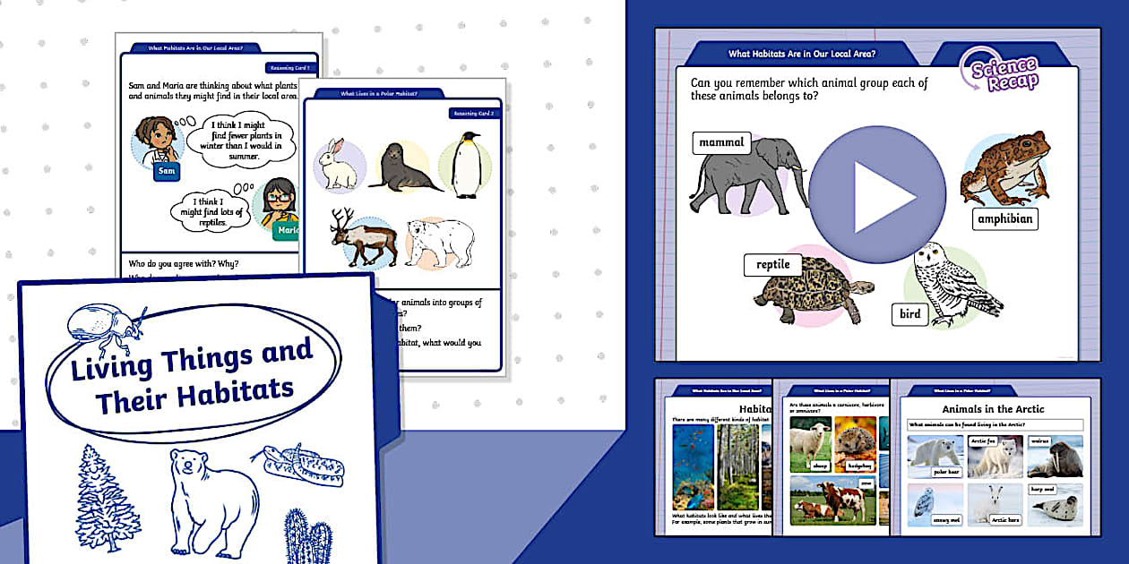 Step into Science: Y2: Spring: Block 2: Living Things and Their Habitats: