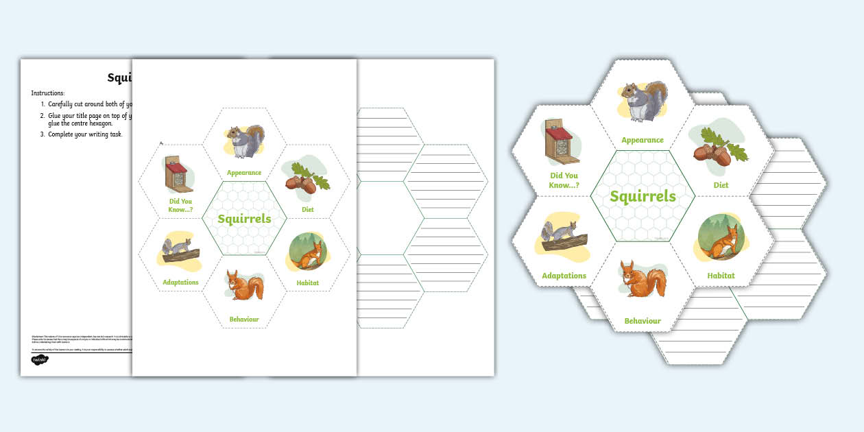 Squirrels Hexagon Writing Template Twinkl (teacher made)