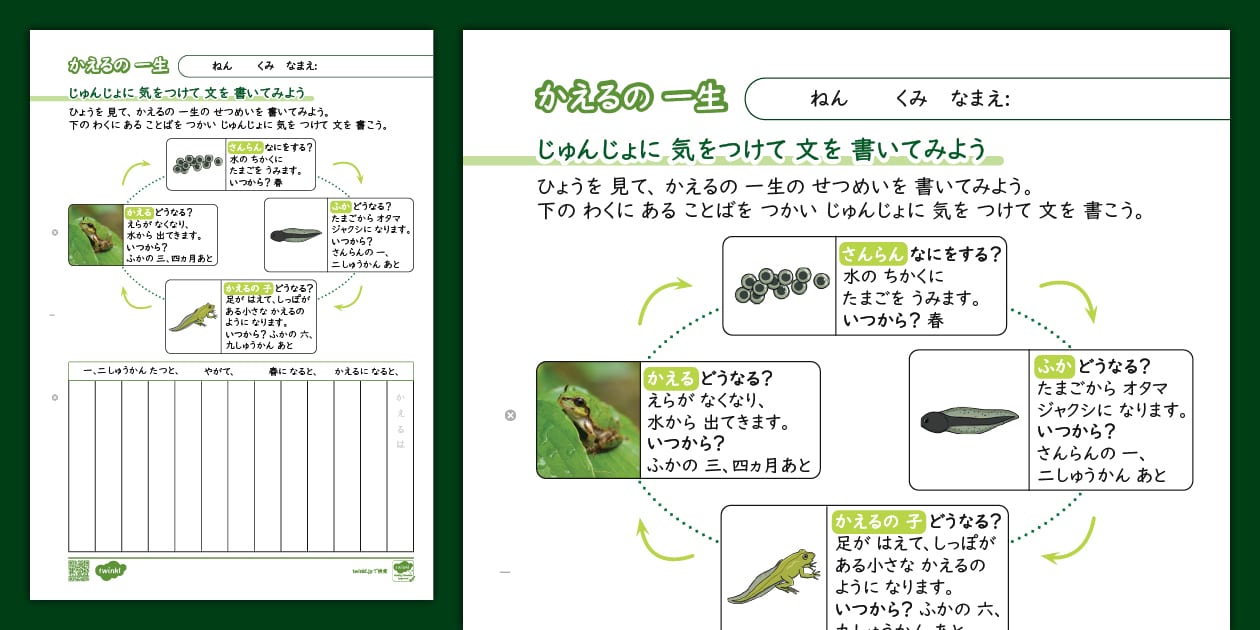「カエルの一生」順序の表現を使った小学校低学年向けの作文練習 Writing Prompt - Twinkl