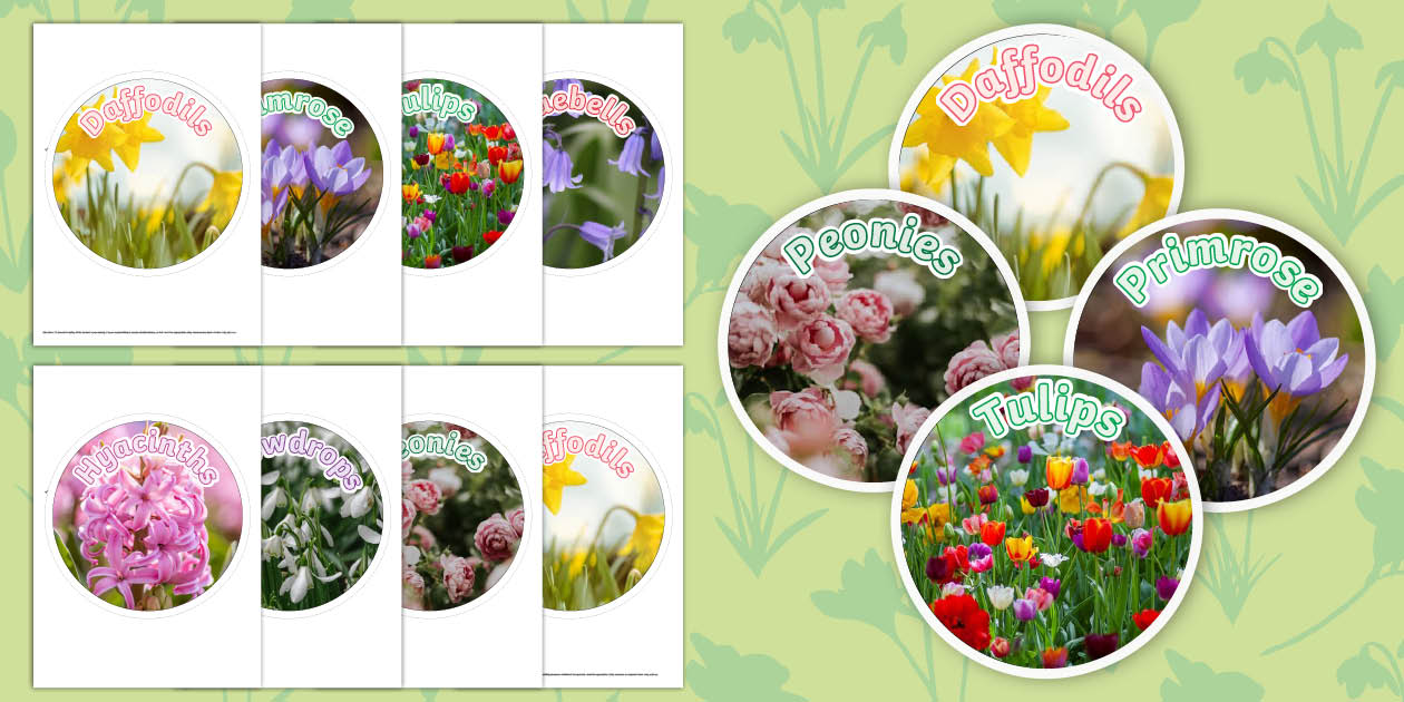 Spring Flowers Circle Display Photo Cut-Outs (teacher made)
