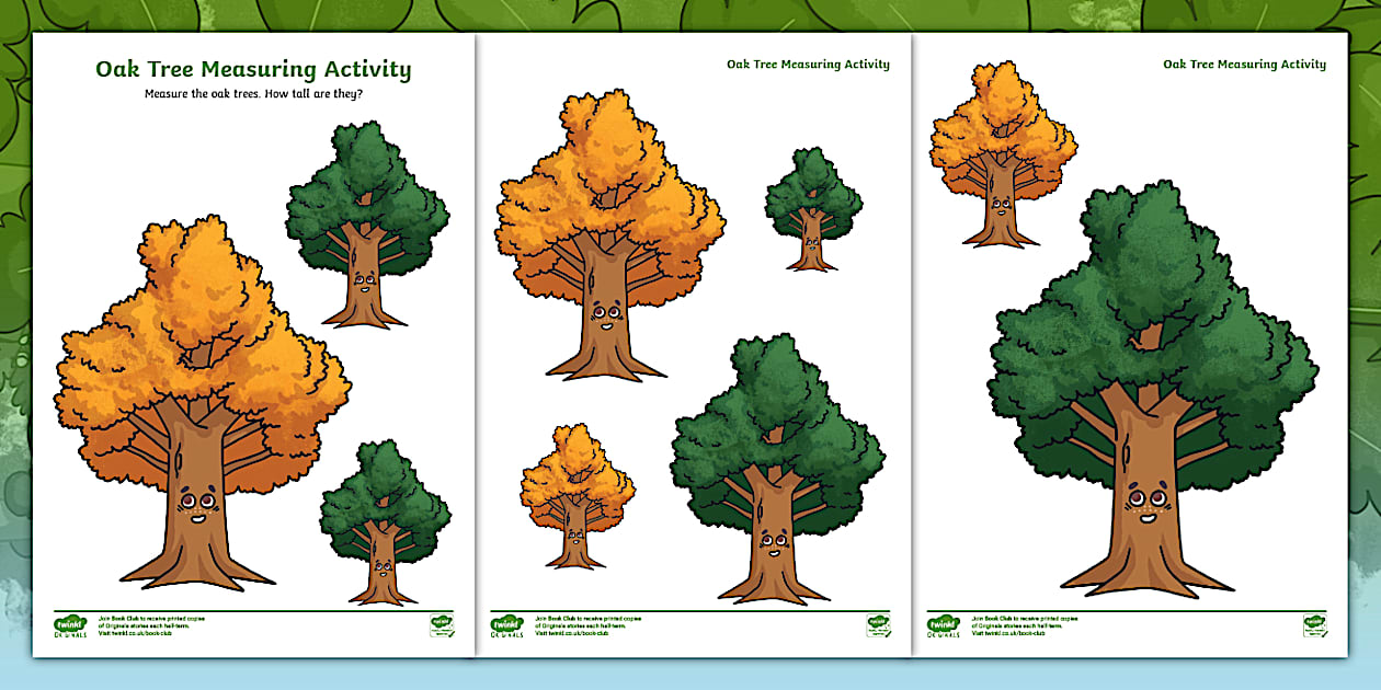 Oak Tree Measuring Activity (teacher made) - Twinkl