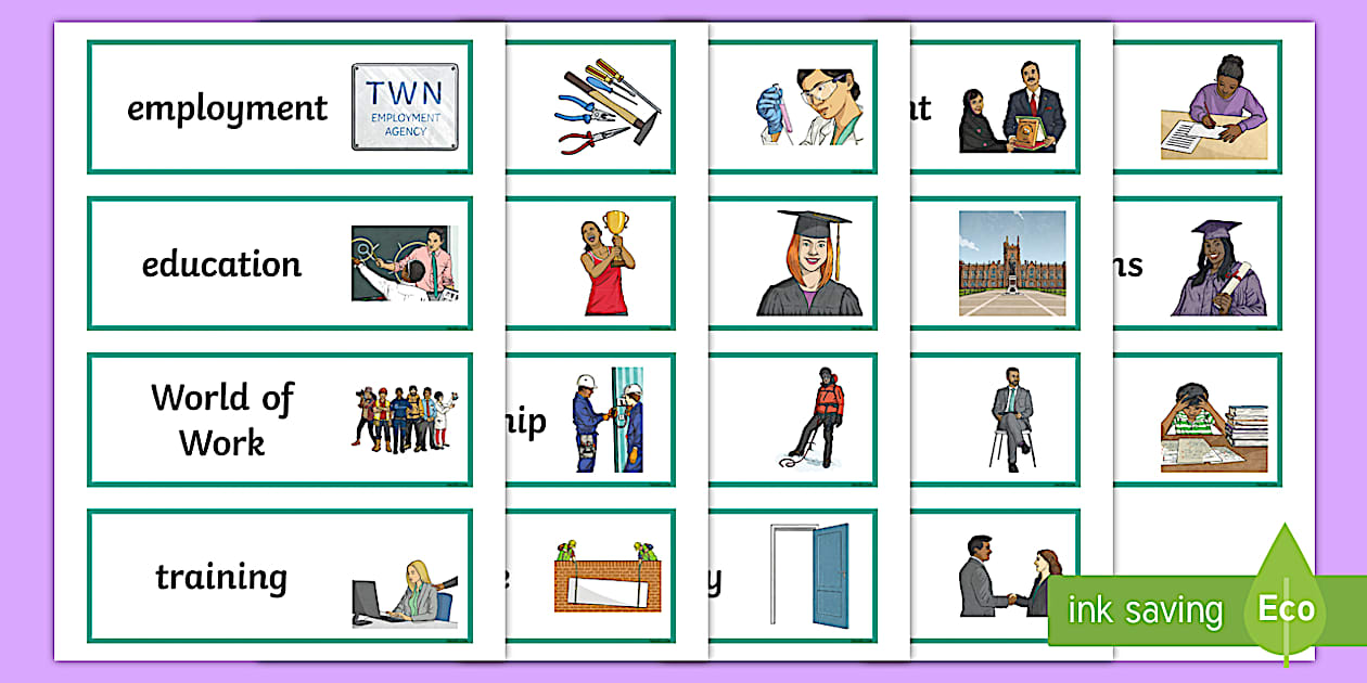 Developing the Young Workforce CfE Second Level Flashcards