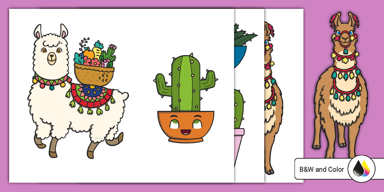 A Whole Llama Fun! Theme Cutouts (Teacher-Made) - Twinkl