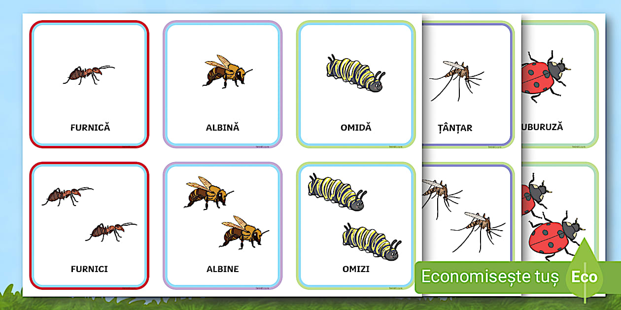 Eu spun una, tu spui mai multe: Insecte și mici viețuitoare