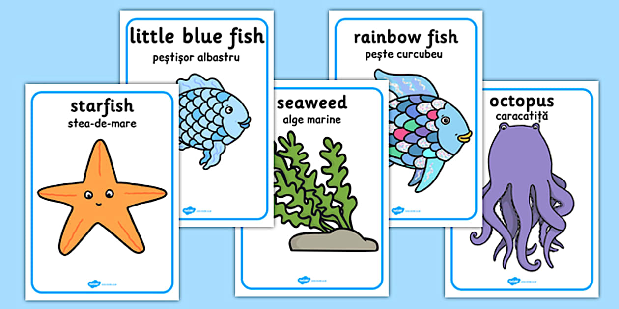 The Rainbow Fish Movement Activity Picture Cards Romanian Translation