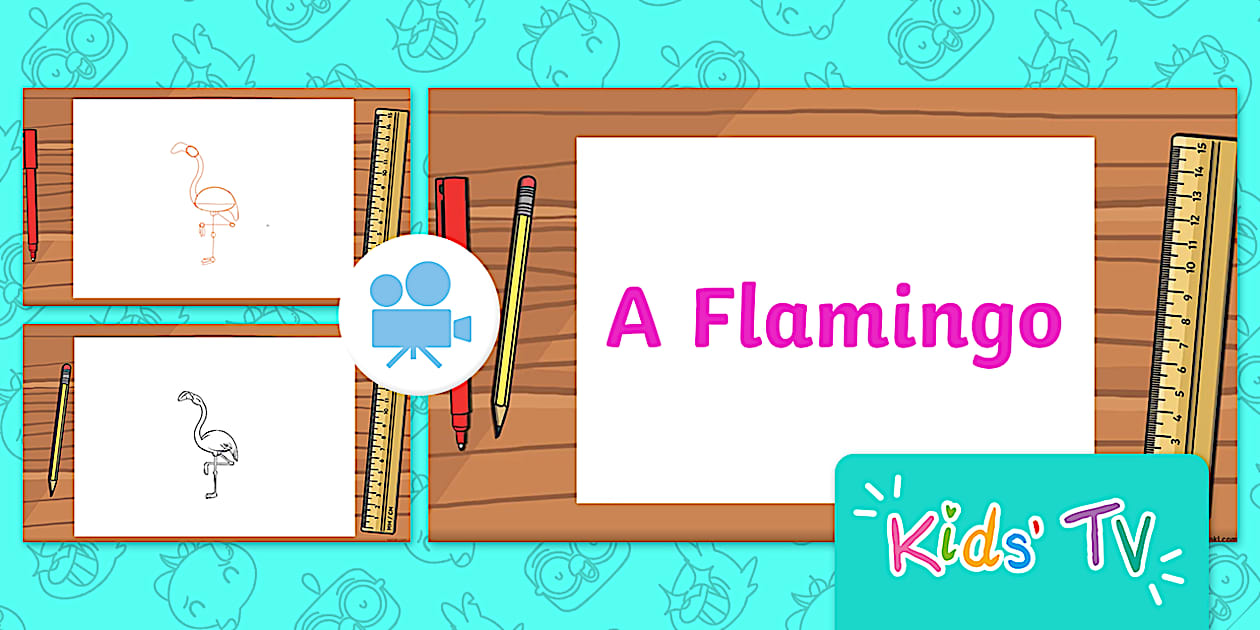 How to Draw a Flamingo | Twinkl Kid's TV (teacher made)