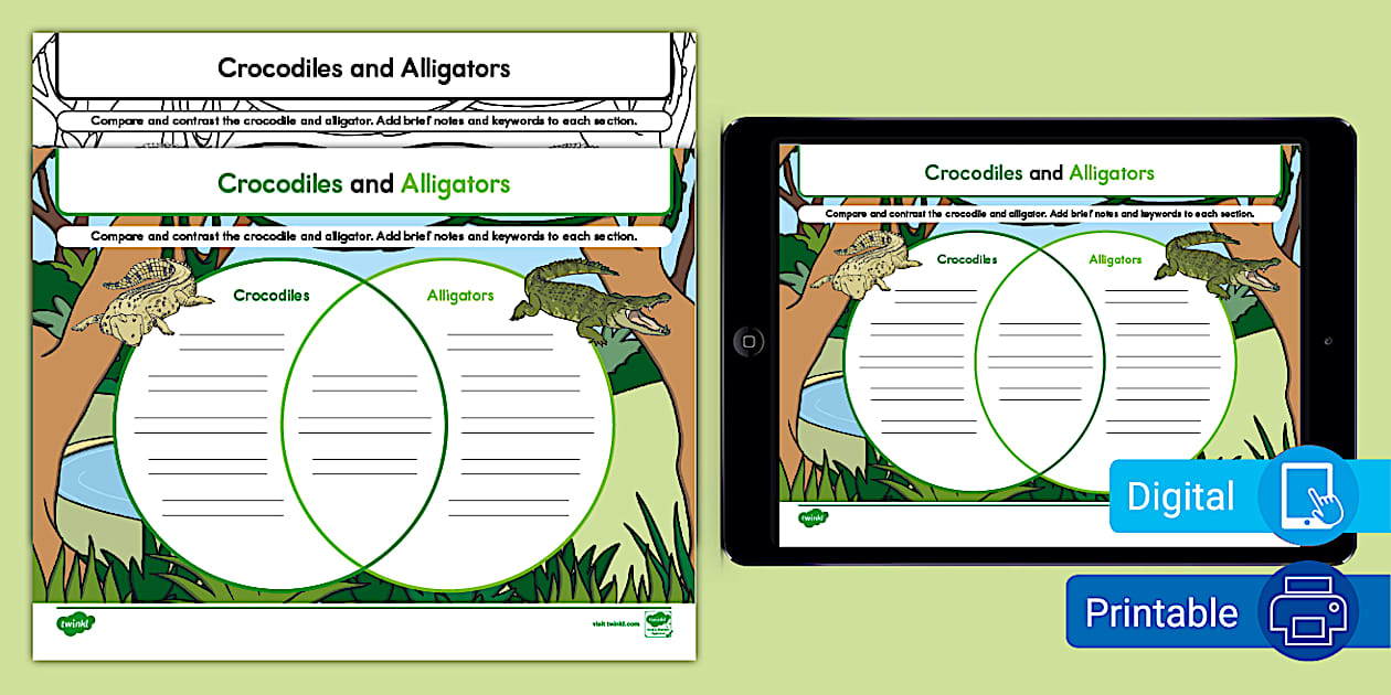 Crocodiles and Alligators Compare and Contrast Worksheet for K-2nd
