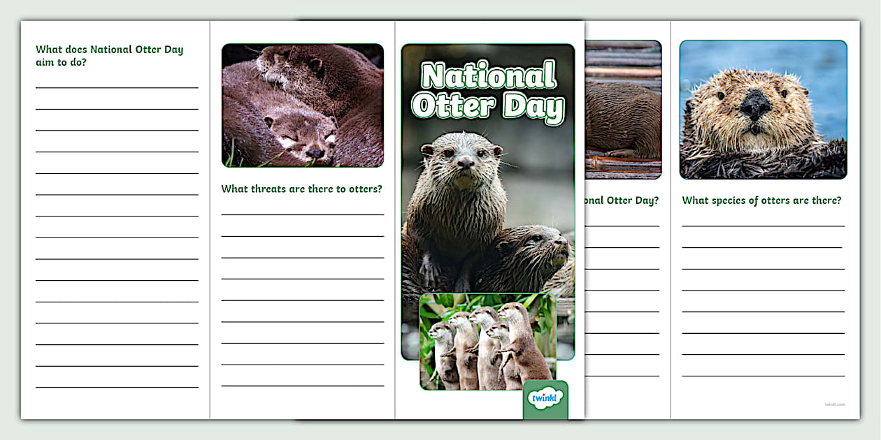 National Otter Day Leaflet Template (teacher made) - Twinkl