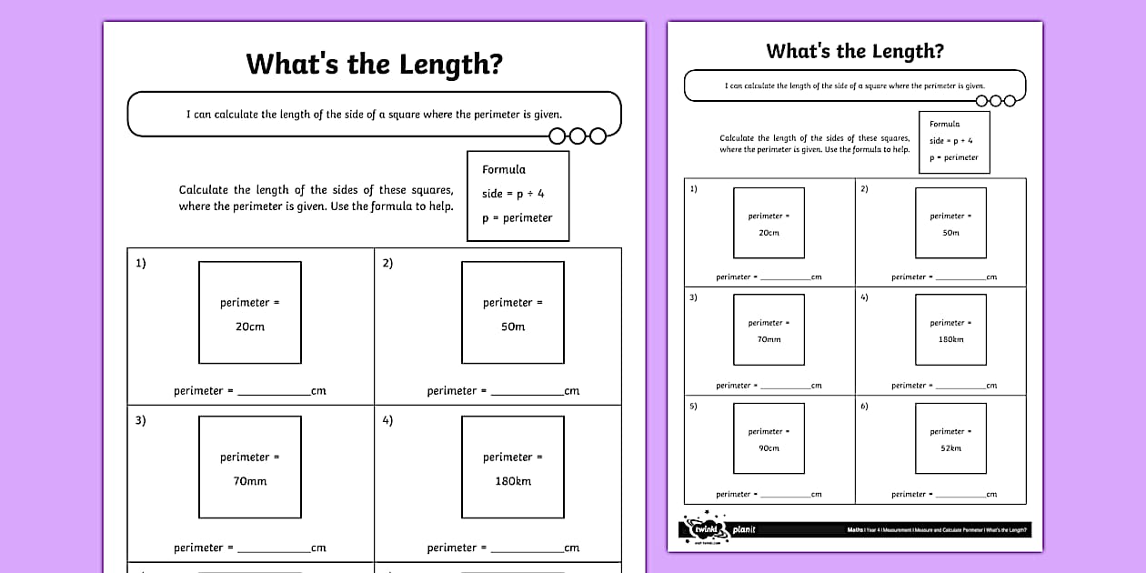 What's the Length? Worksheet - Twinkl