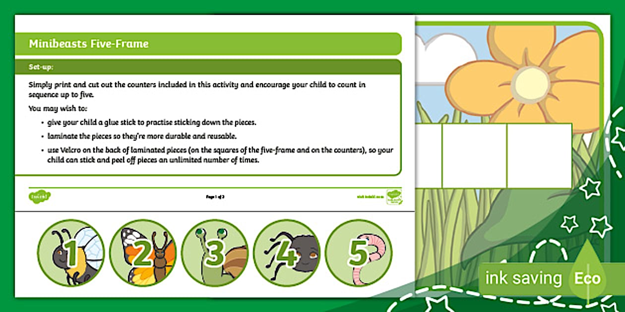 👉 Minibeasts 5-Frame (teacher made) - Twinkl