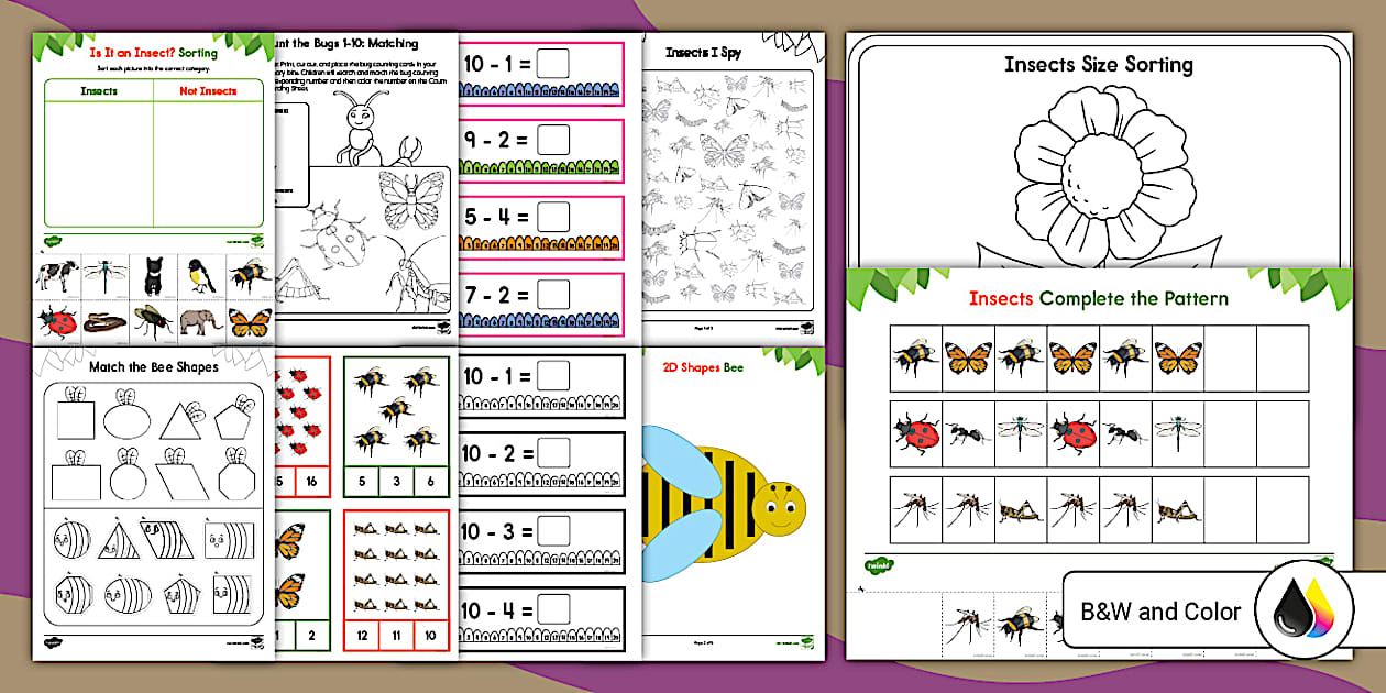 Early Childhood Insects Math Activity Pack (Teacher-Made)