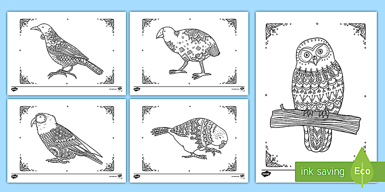 New Zealand Native Birds Mindfulness Colouring Pack - Twinkl
