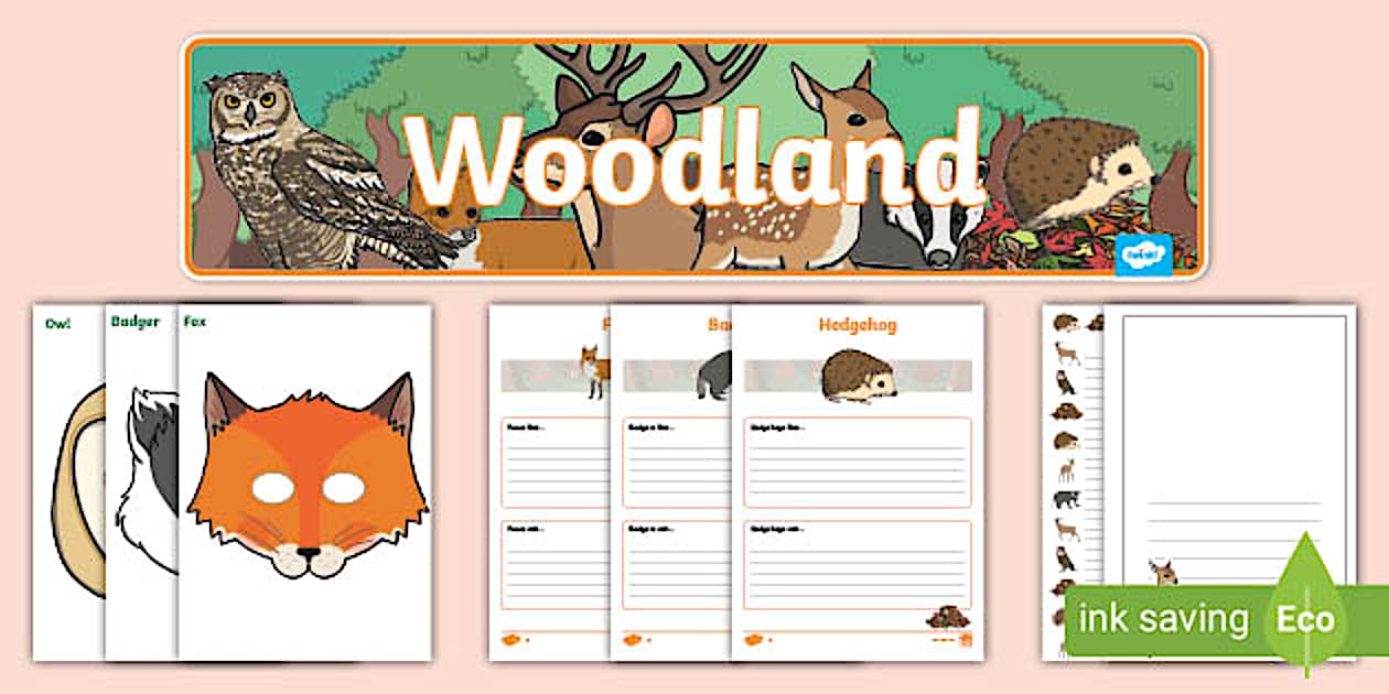 Woodland Role Play Pack (teacher made) - Twinkl