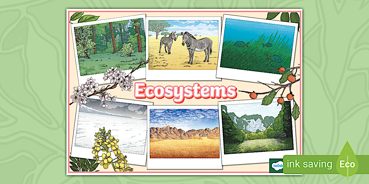 Ecosystems Display Poster (teacher made) - Twinkl
